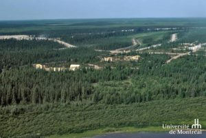 History & Geography – Cree Nation of Chisasibi